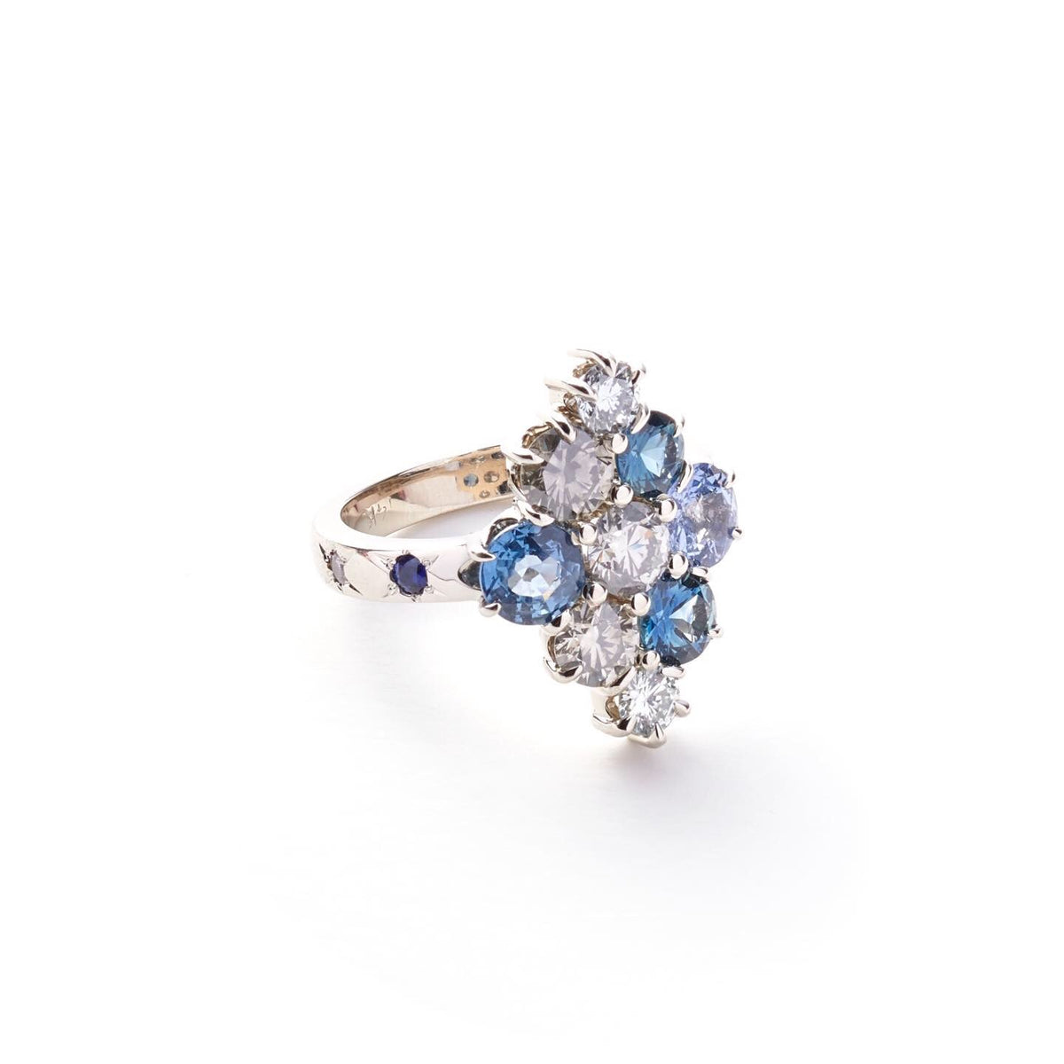 Day & Night Ring – Cannon Lewis Jewelry